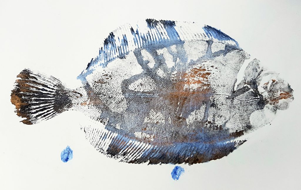 Liquid Fish Monoprint – Untitled Gallery – Buy and sell art, direct and ...